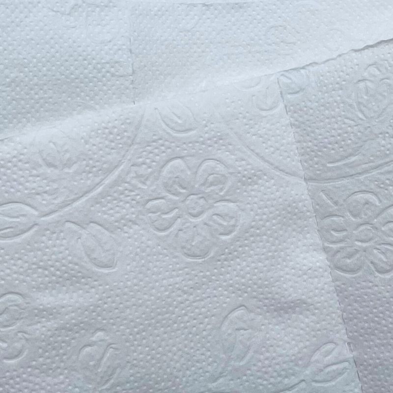 Papier hygiènique blanc 2 plis Pura pure ouate - 9 x 12 rouleaux ...